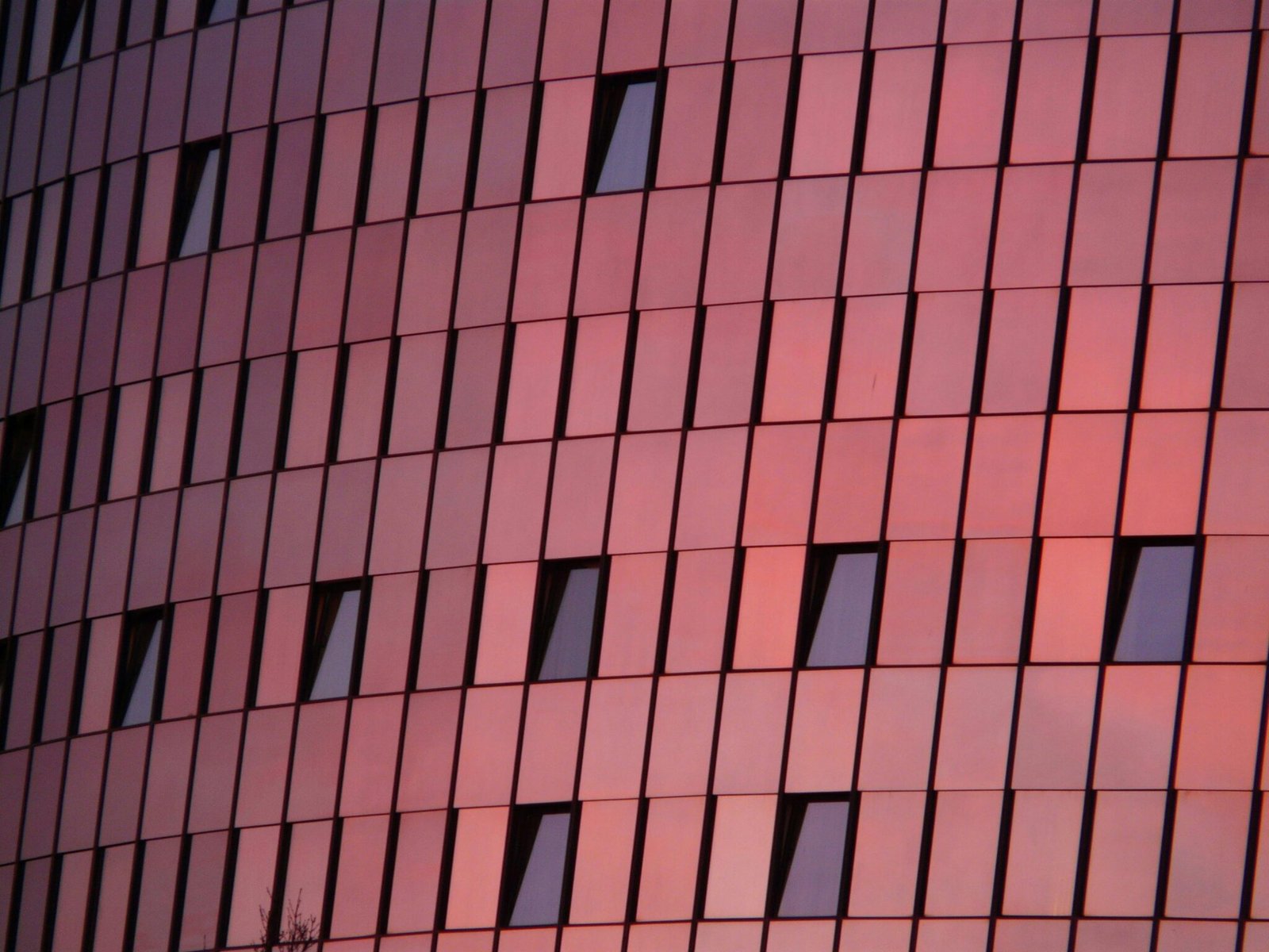 HOME - Wellington Glazing